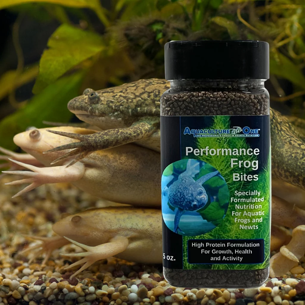 Aquaculture-One Performance Frog Bites 5oz - Buy Live Fish online ...